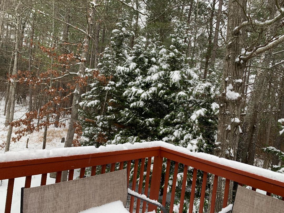 We Have Snow! It’s Beautiful, But Few Know How to Drive in It! – Help ...